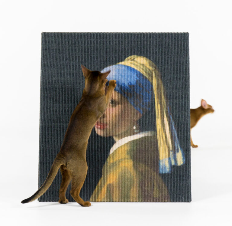 Studio Erik Stehmann